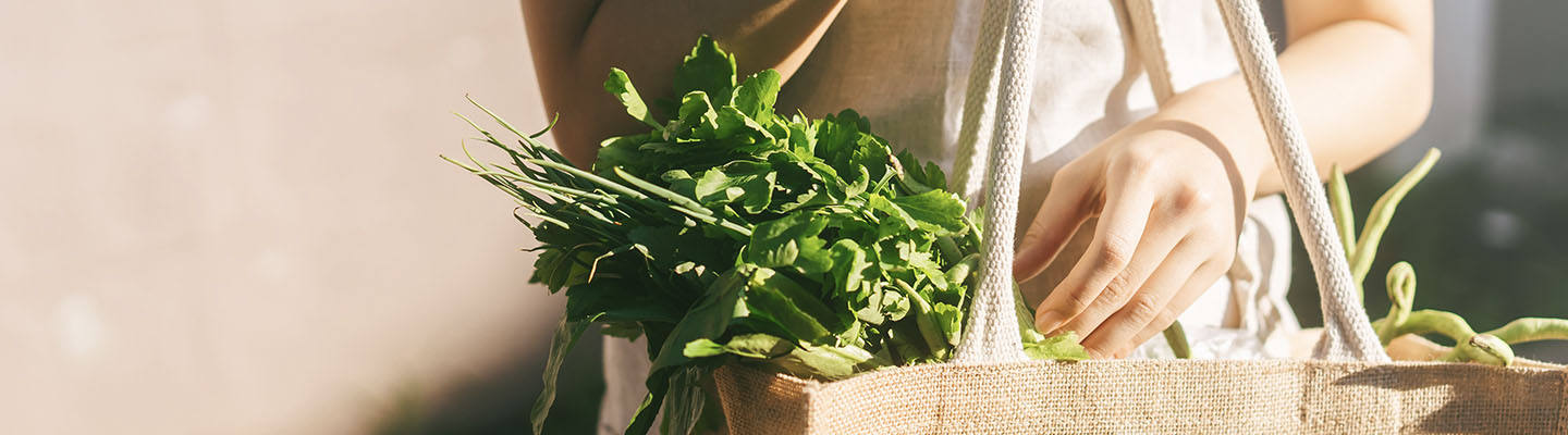 10 Eco-Friendly Products for a Greener Lifestyle